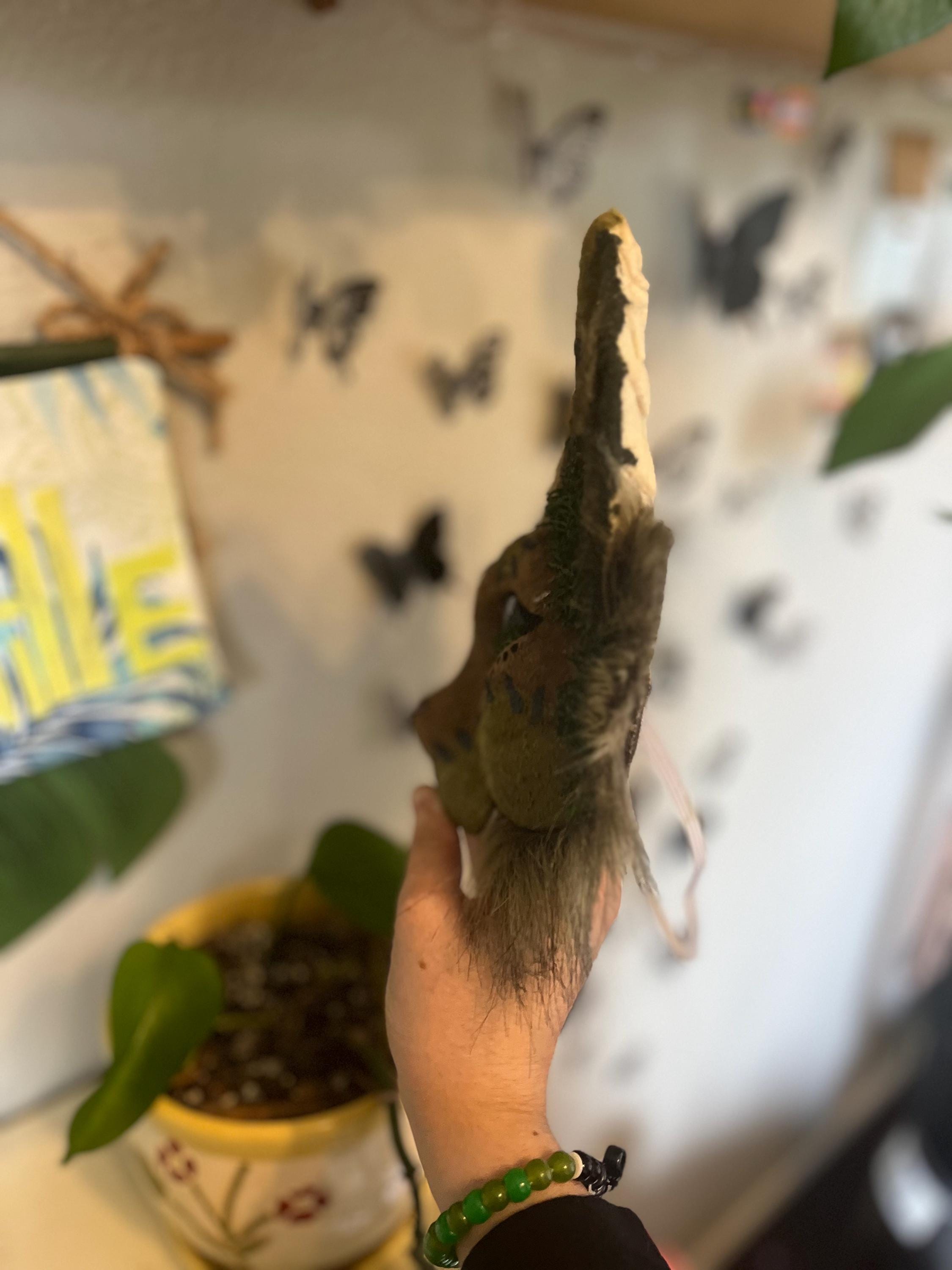 Zombie Moss Cat Therian Mask - Etsy