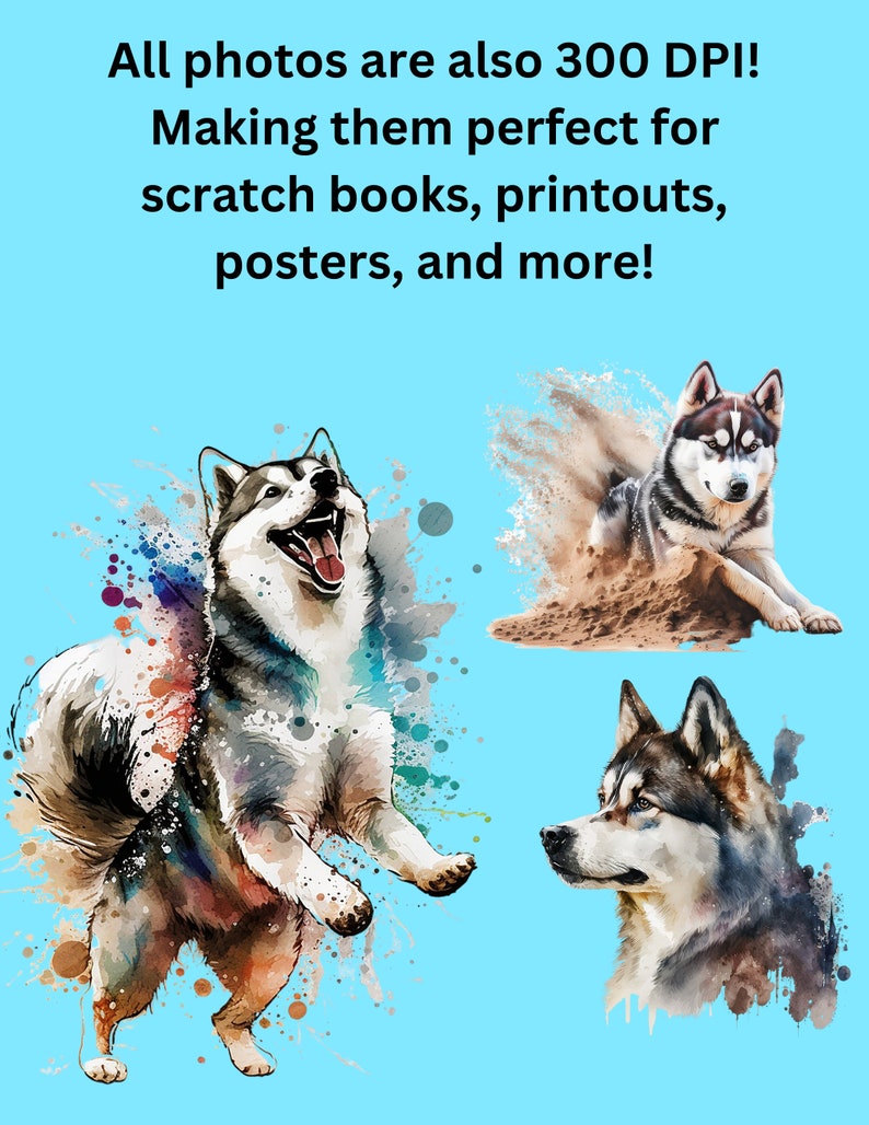 25 Siberian Husky Clipart - Siberian Husky PNG - Siberian Husky ...