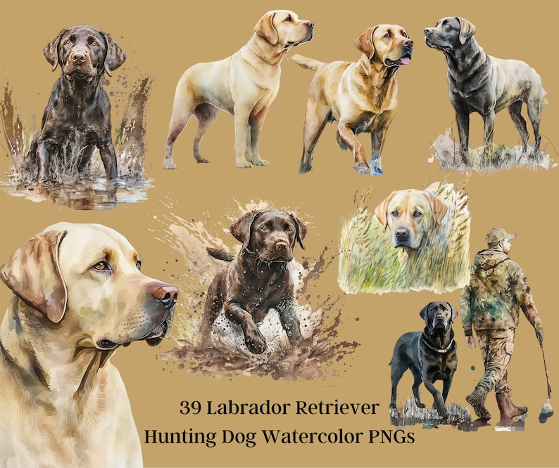 39 Labrador Retriever Hunting Dog Clipart Hunting Dog - Etsy