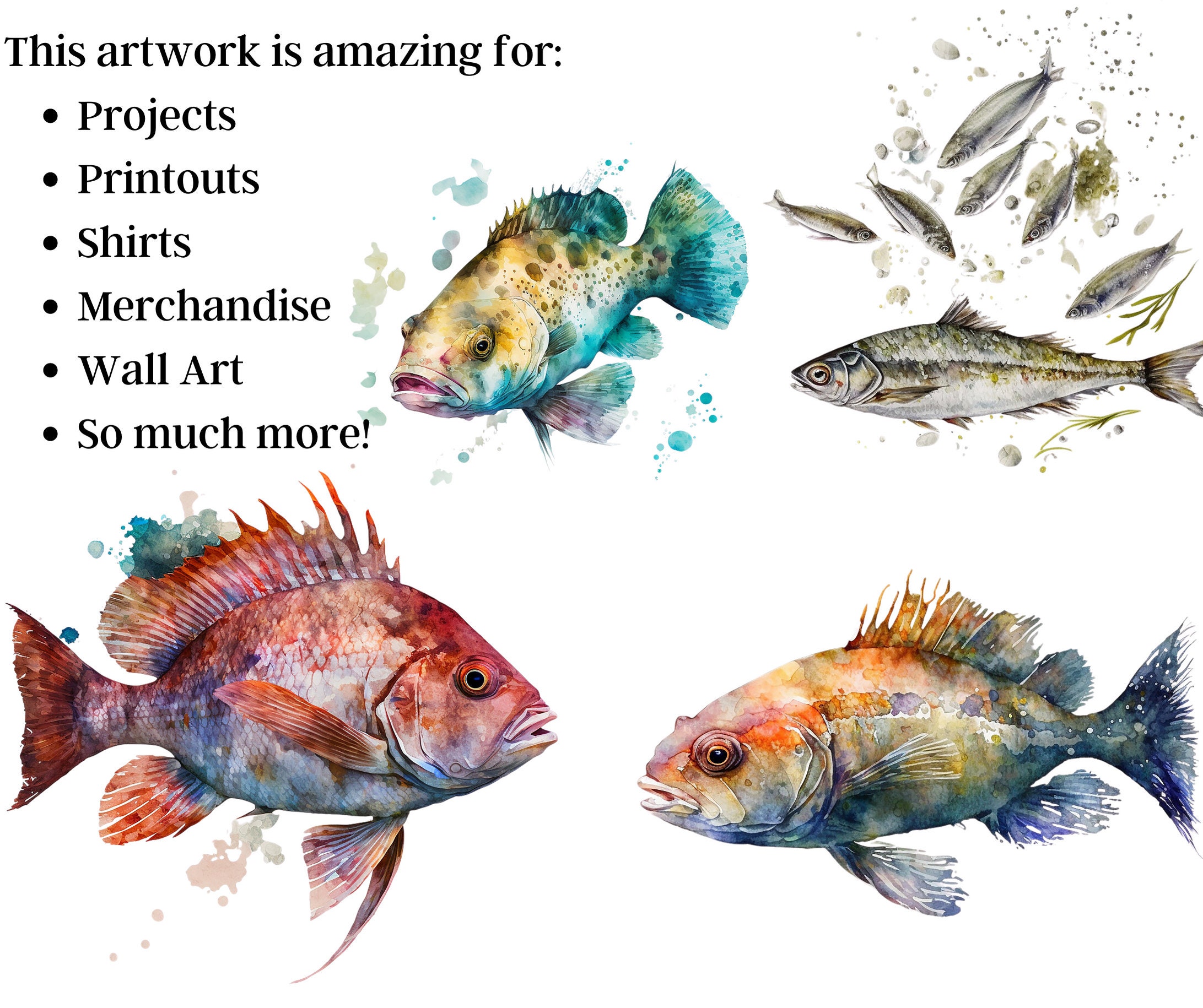 New Zealand Fish Pngs, Trevelly, Snapper, Kingfish, Trout, Gurnard, Whitebait, Transparent ...