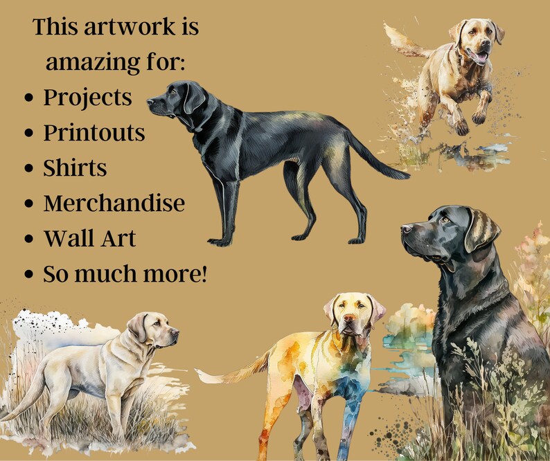 39 Labrador Retriever Hunting Dog Clipart Hunting Dog - Etsy