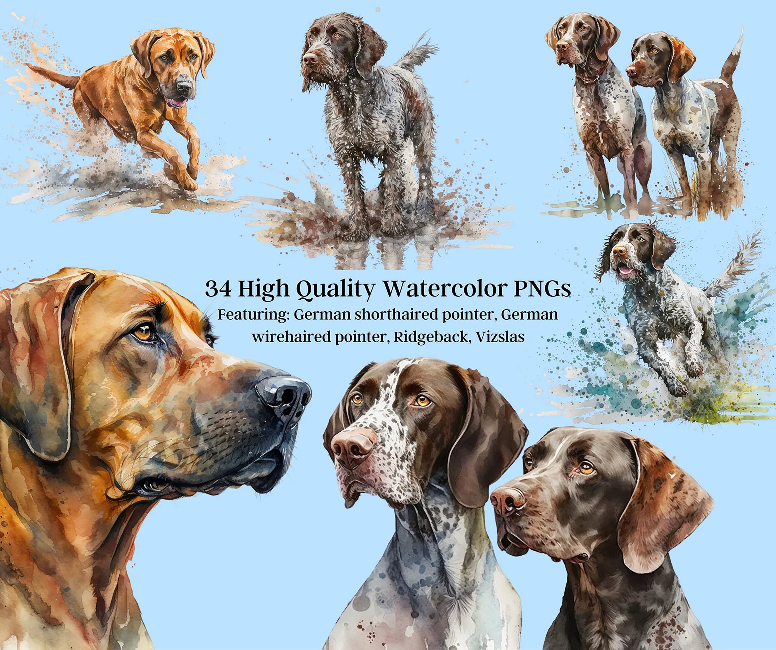 Hunting Dogs Megabundle 200 Unique Images in Transparent and Opaque ...