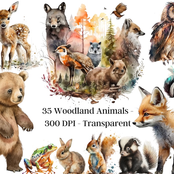 Frog Owl Clipart - Etsy