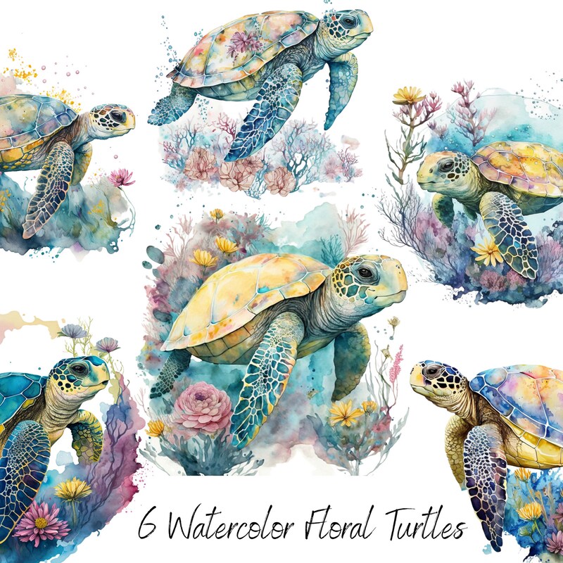 Turtle Theme - Etsy