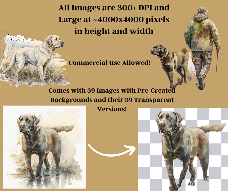 39 Labrador Retriever Hunting Dog Clipart Hunting Dog - Etsy