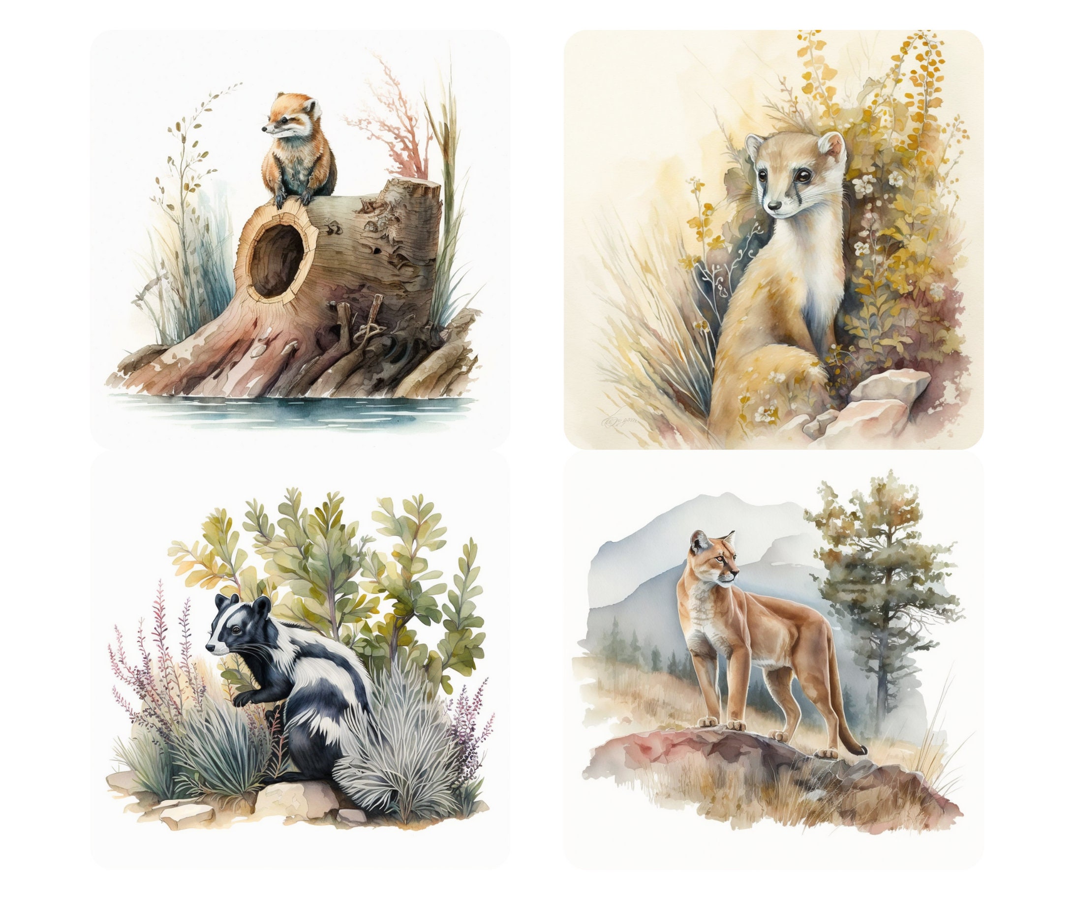 Forest Critters Woodland Animals Animal Art Bundle Forest - Etsy