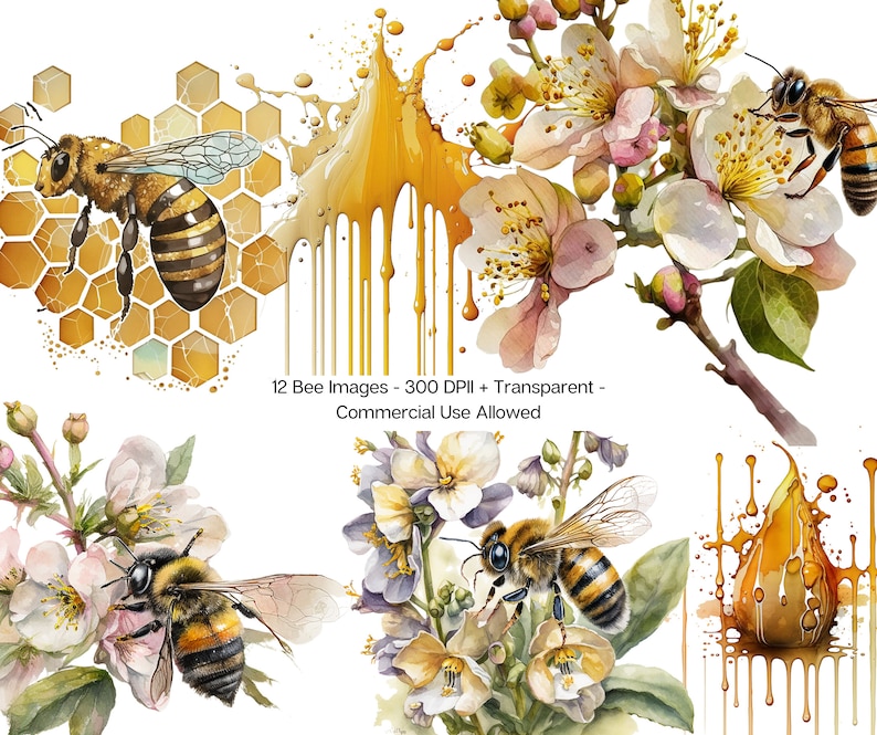 12 Watercolor Honey Bee Clipart Pngs, April Bee Art May Bee Art Hive ...