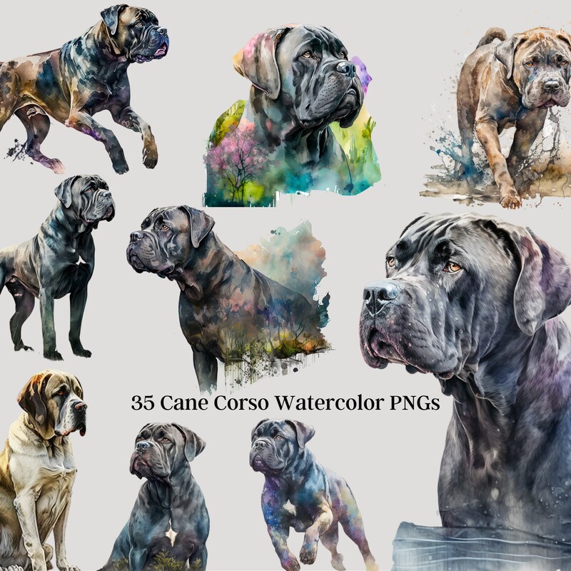 Cane Corso Png - Etsy