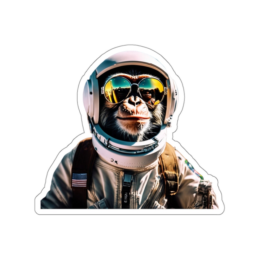 Space Monkey Sticker Monkey in Outer Space Sticker Monkey in Sunglasses ...