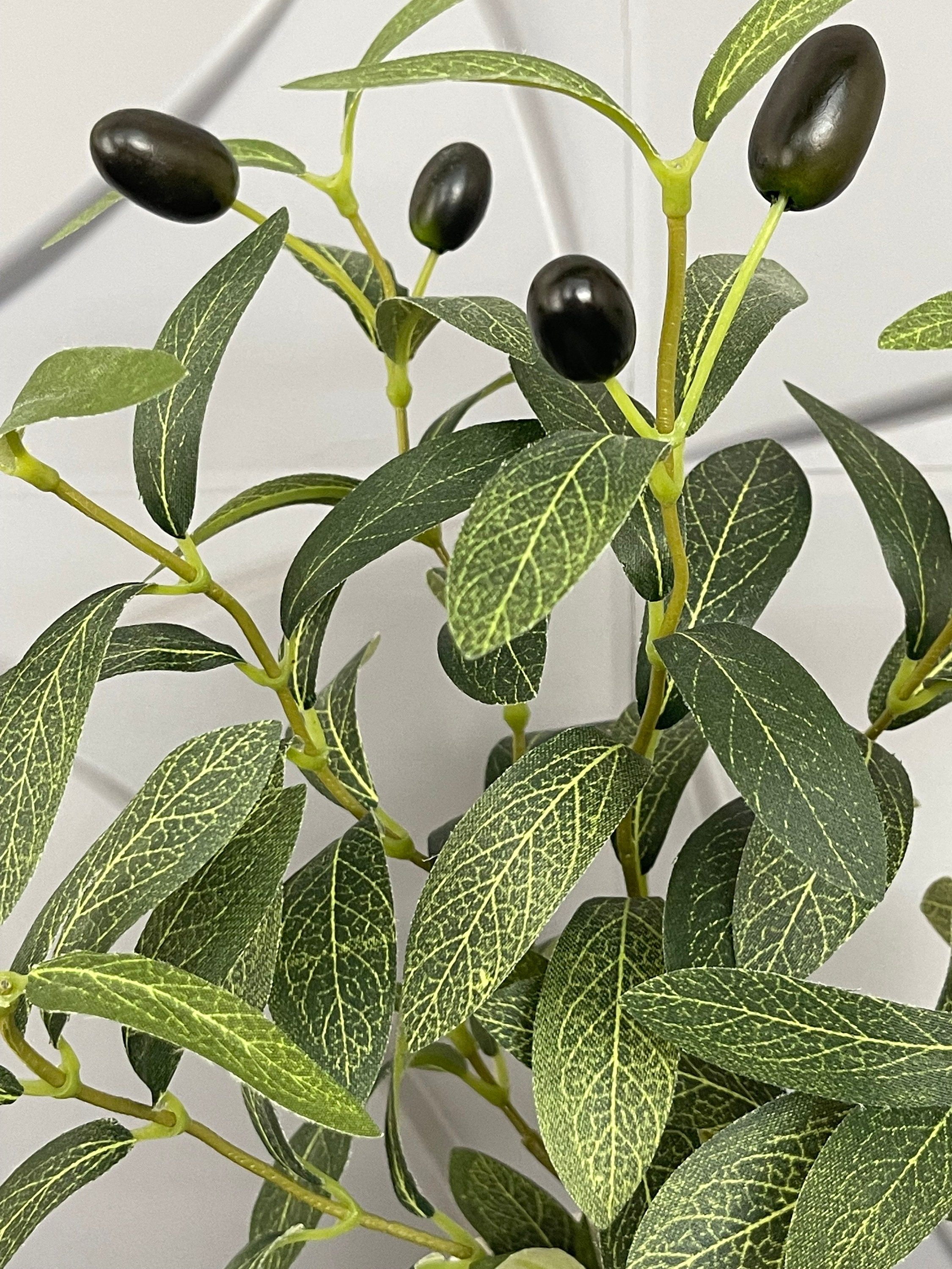 Artificial Olive Tree in Planter Fake Olive Branch in Vase Faux Olive ...