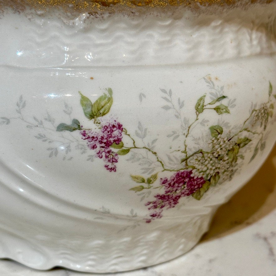 Antique John Maddock & Sons Chamber Pot: Royal Vitreous Floral Vase ...