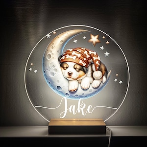 Personalized Sleepy Baby Animals Night Light Custom Name Nursery Lamp ...