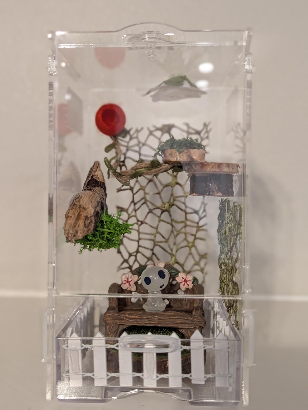 Jumping Spider Enclosure Alien Garden - Etsy