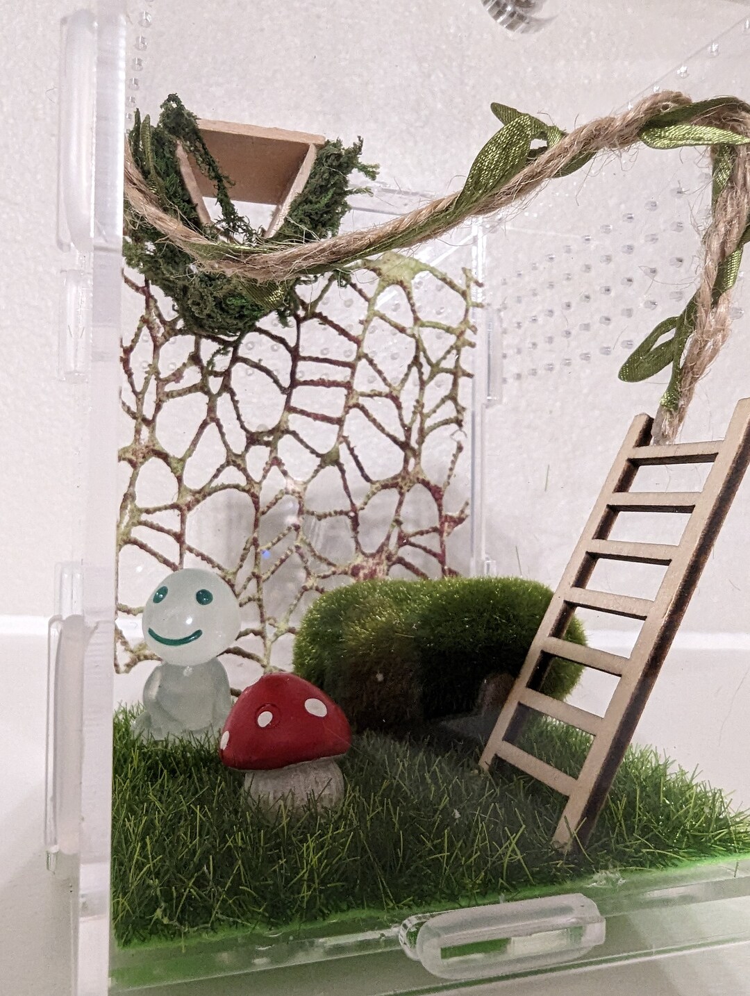 Jumping Spider Enclosure - Etsy