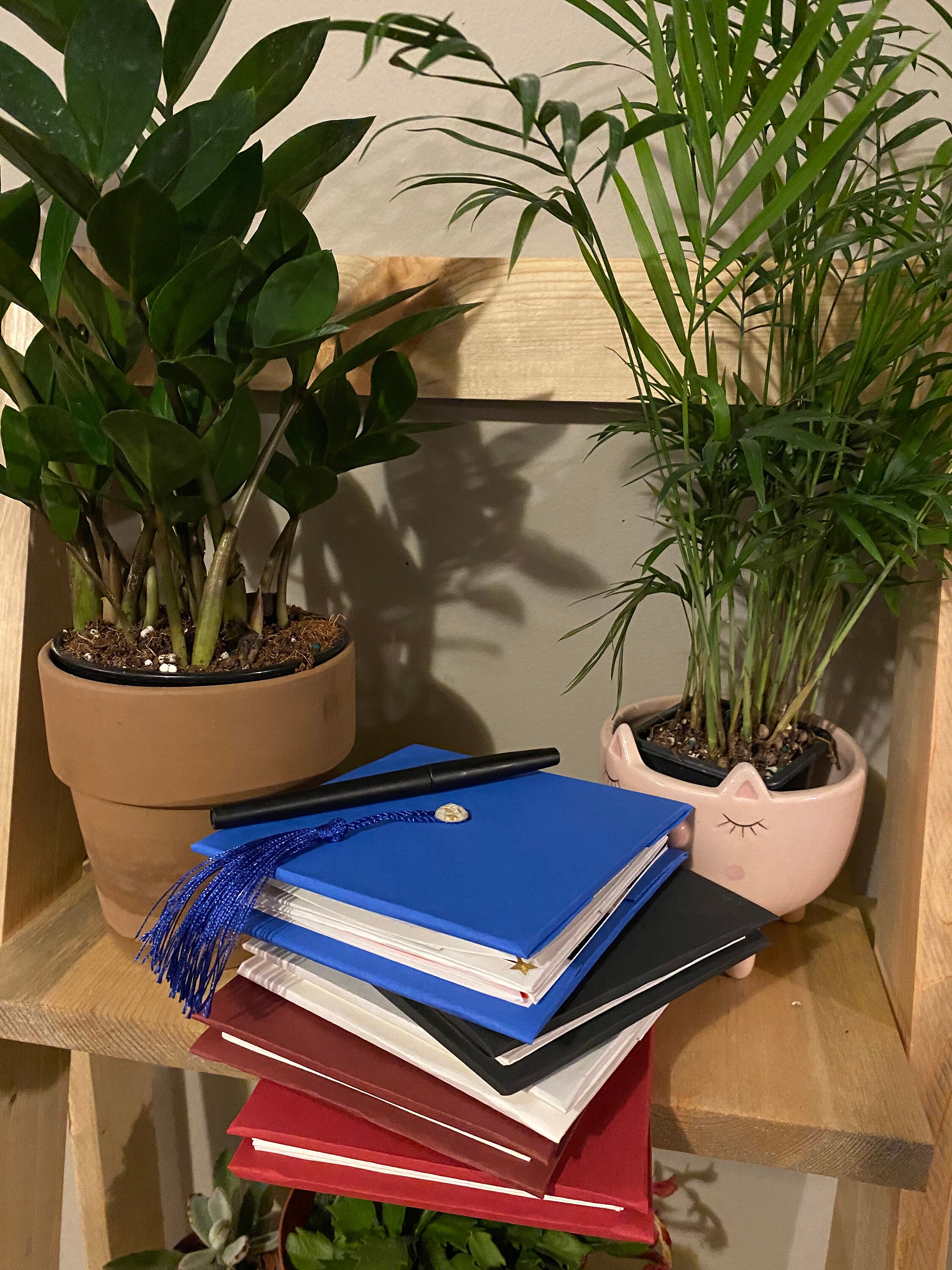 Graduation Cap Autograph and Memory Album - Etsy