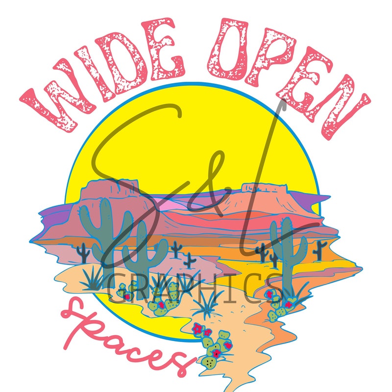 The Dixie Chicks - Etsy