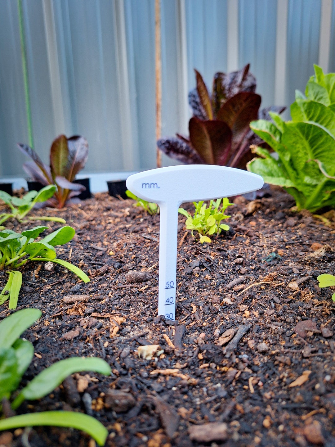 Seed Depth Gauge | Ergonomic Garden Sowing Tool - Etsy