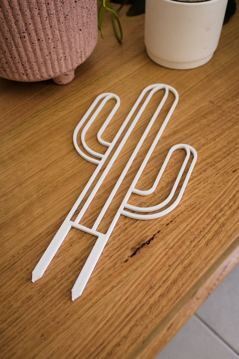 Cactus Indoor Houseplant Trellis Plant Climbing Support Indoor Plant ...