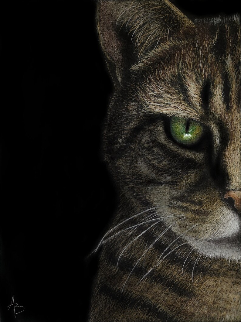 Split Face Tabby Cat Pet Portrait, Charcoal on Grey Toned Paper and ...