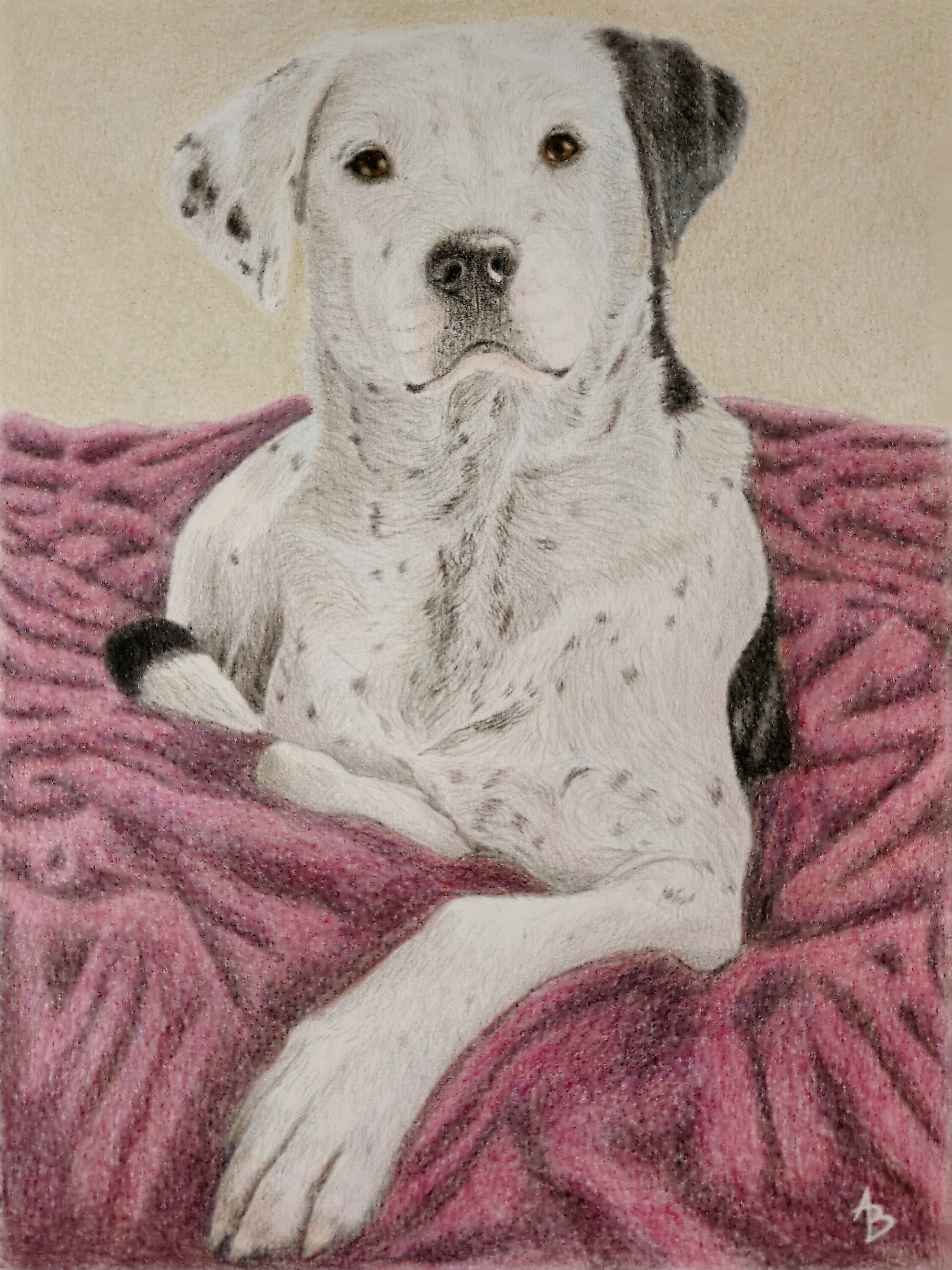 Custom Realistic Pet Portraits With Personalized Drawing Videos, Dog ...