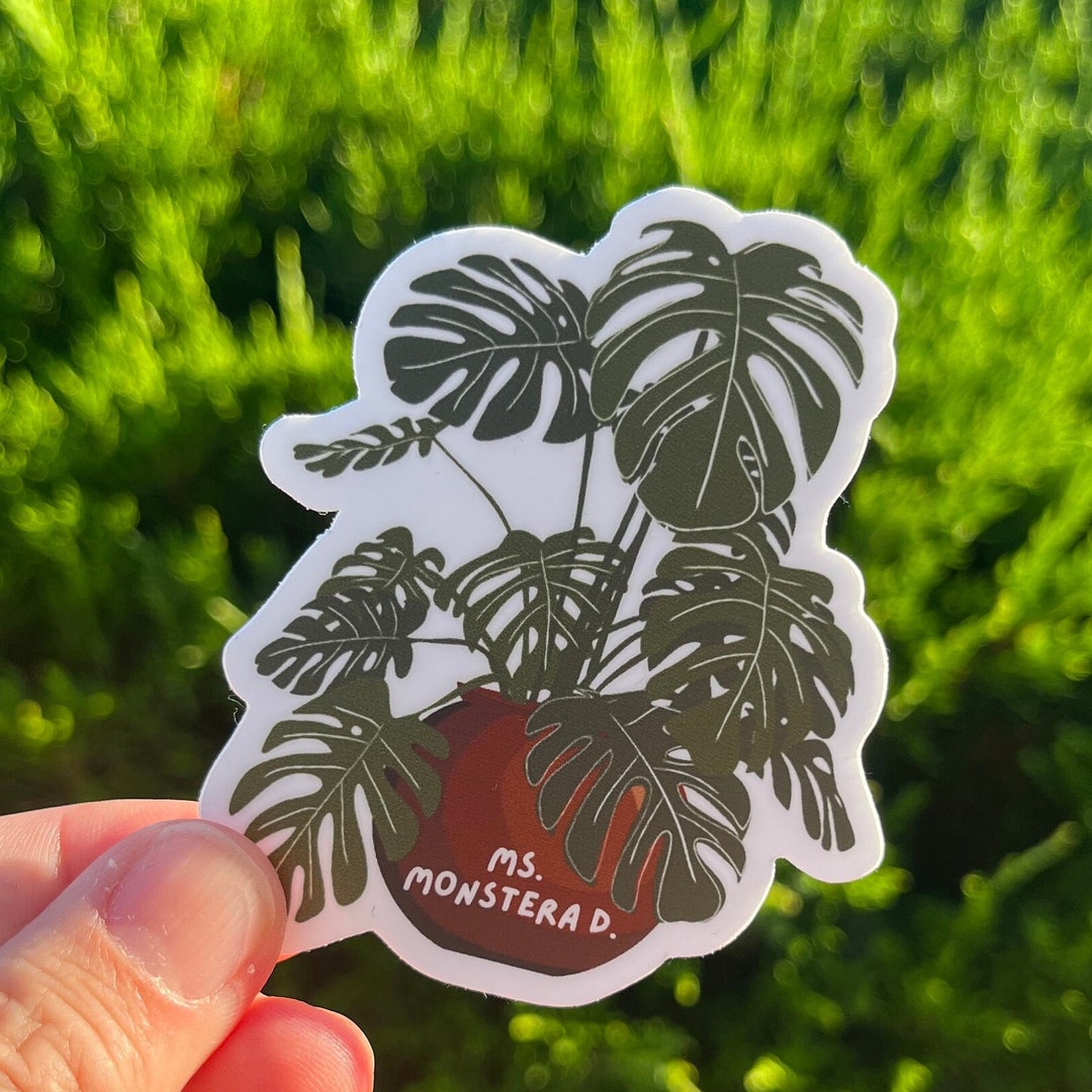 Monstera Plant Vinyl Sticker Funny Plant Joke Monstera - Etsy