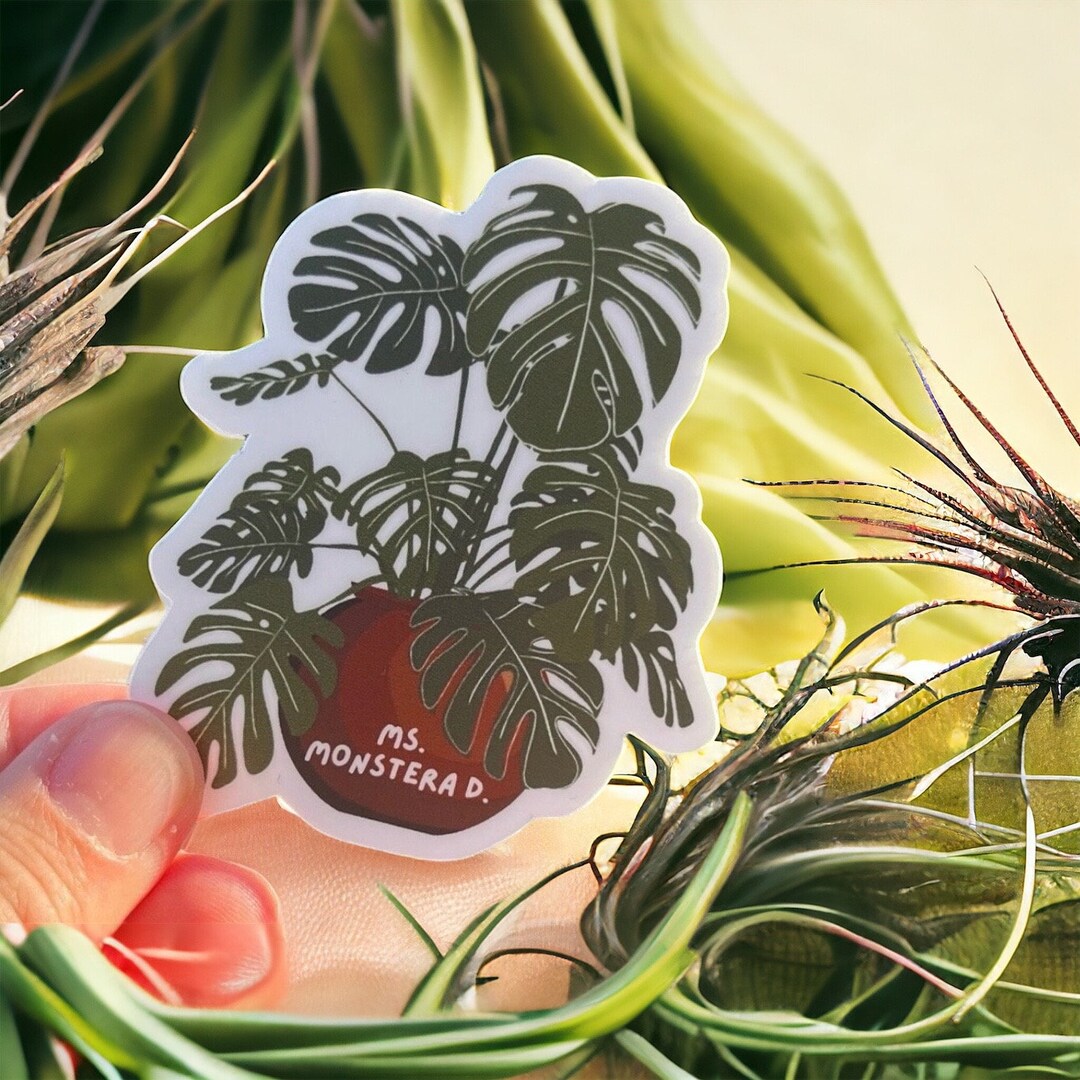 Monstera Plant Vinyl Sticker Funny Plant Joke Monstera Sticker Plant ...