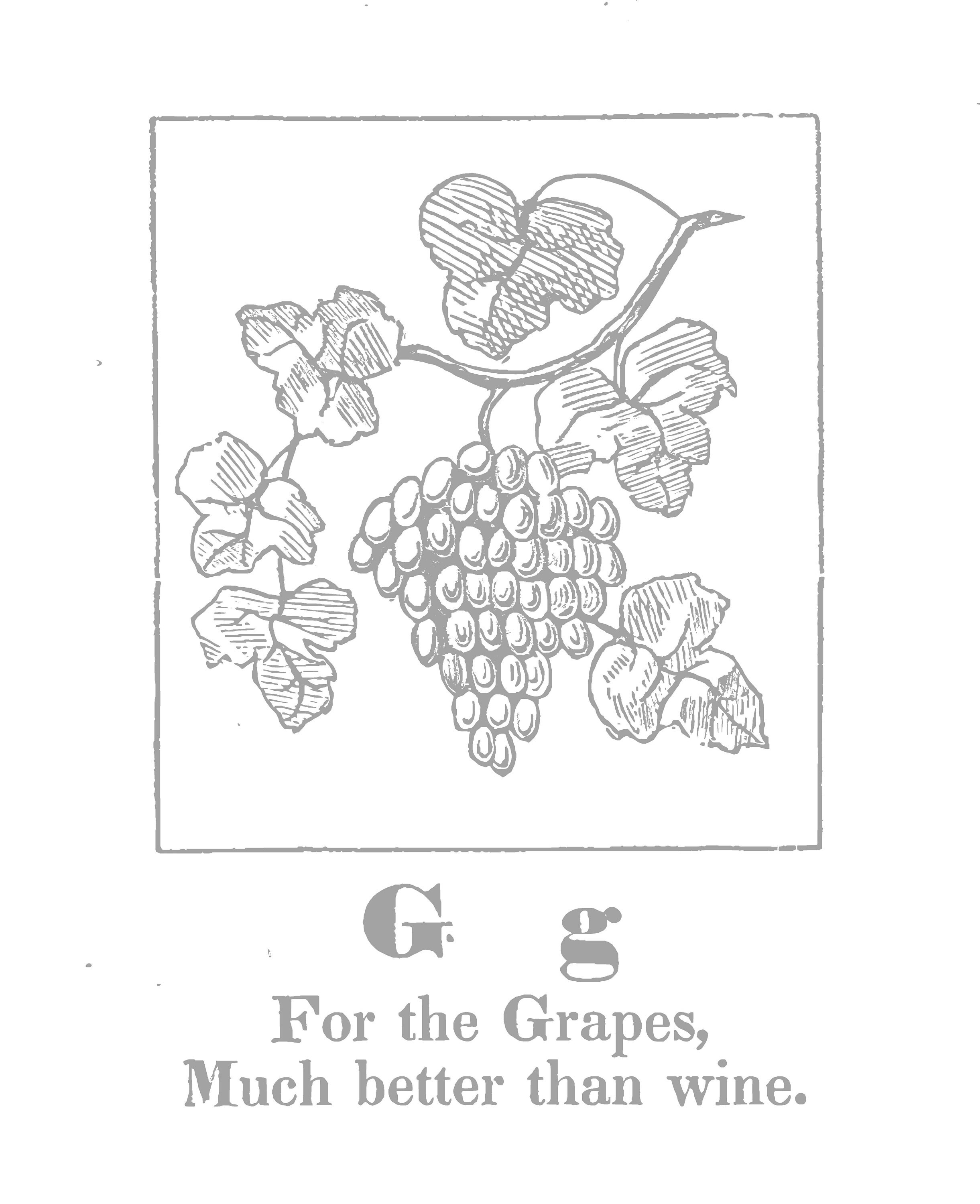 Vintage Alphabet for Coloring Classic Digital Bundle Download Hand ...