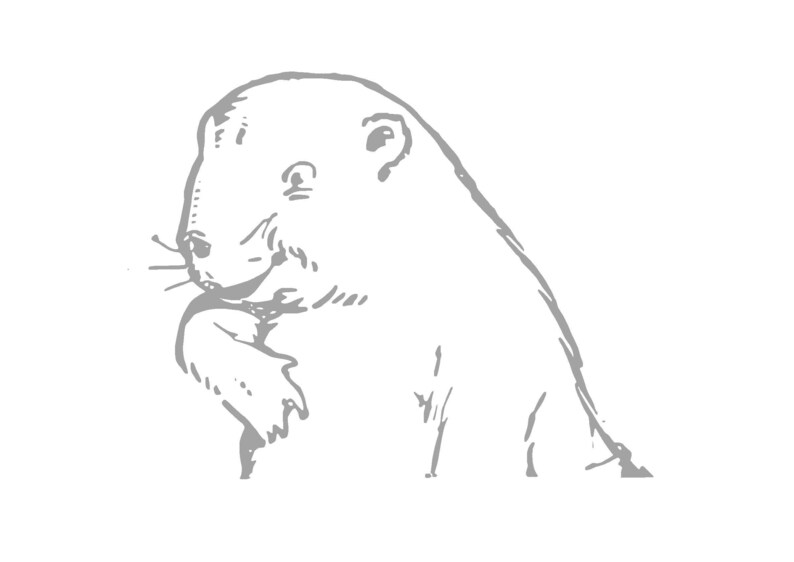 Gopher Life for Coloring Vintage Digital Bundle Download Hand Drawn ...