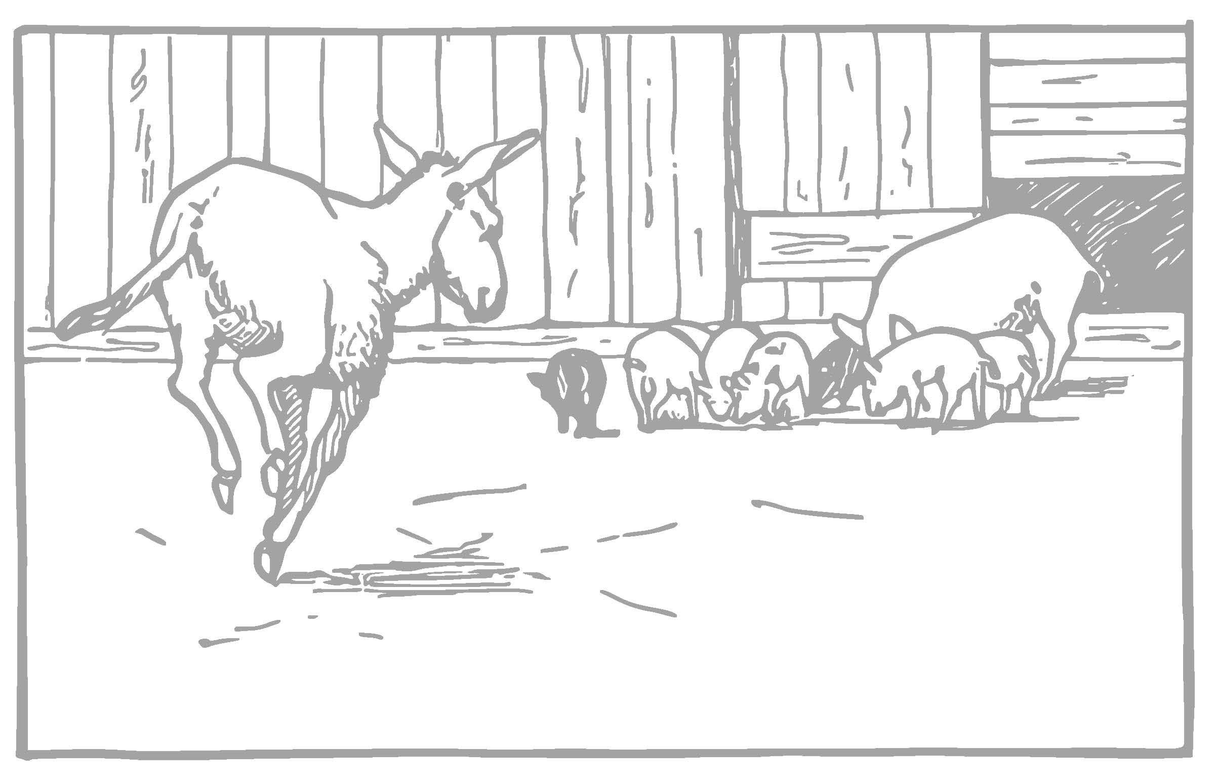 Donkeys for Coloring Vintage Digital Bundle Download Hand Drawn ...