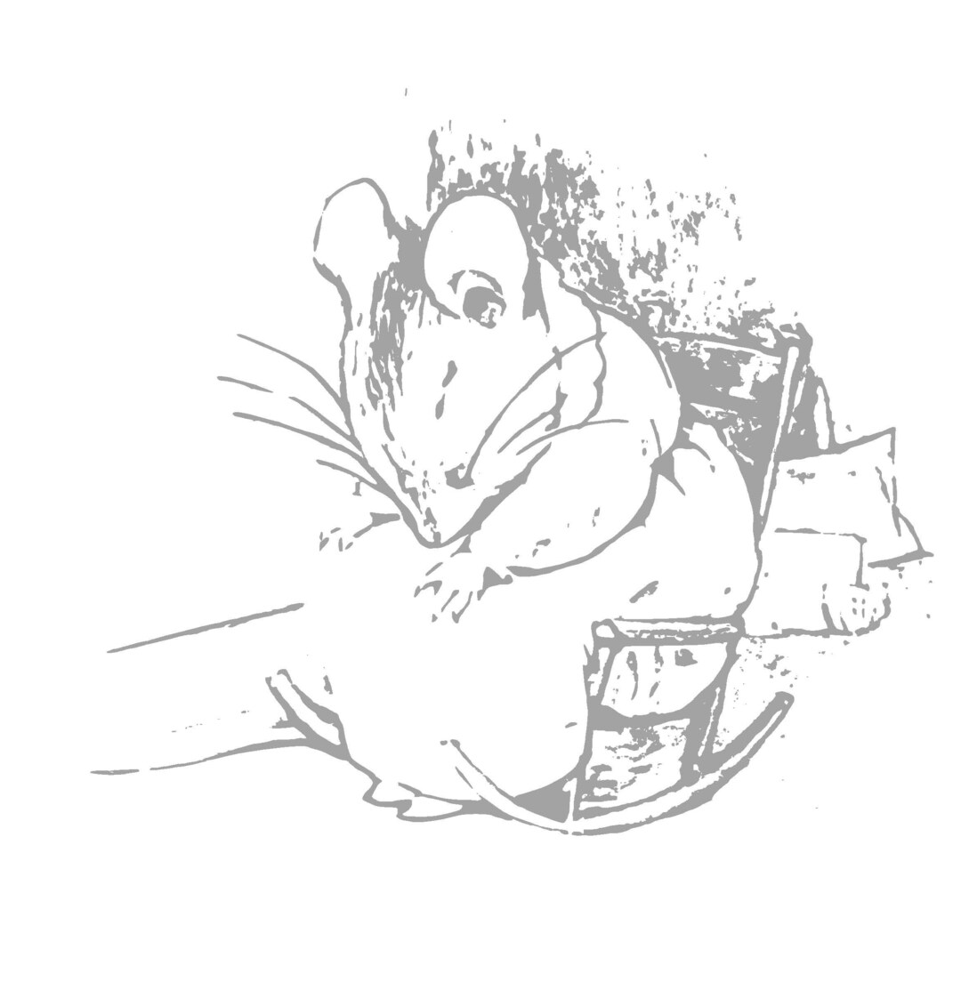 Beatrix Potter for Coloring Vintage Digital Bundle Download Hand Drawn ...