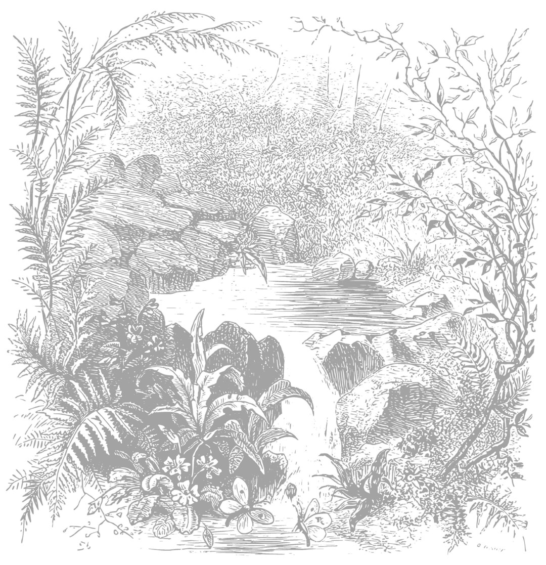 Vintage Pictures for Coloring Classic Digital Bundle Download Hand ...