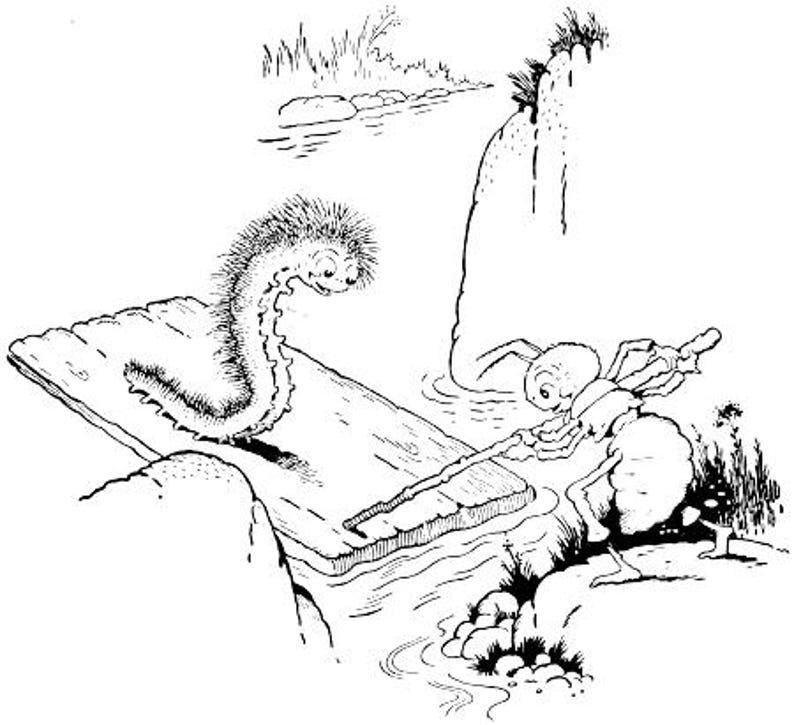 Ant Adventure for Coloring Vintage Digital Bundle Download Hand Drawn ...