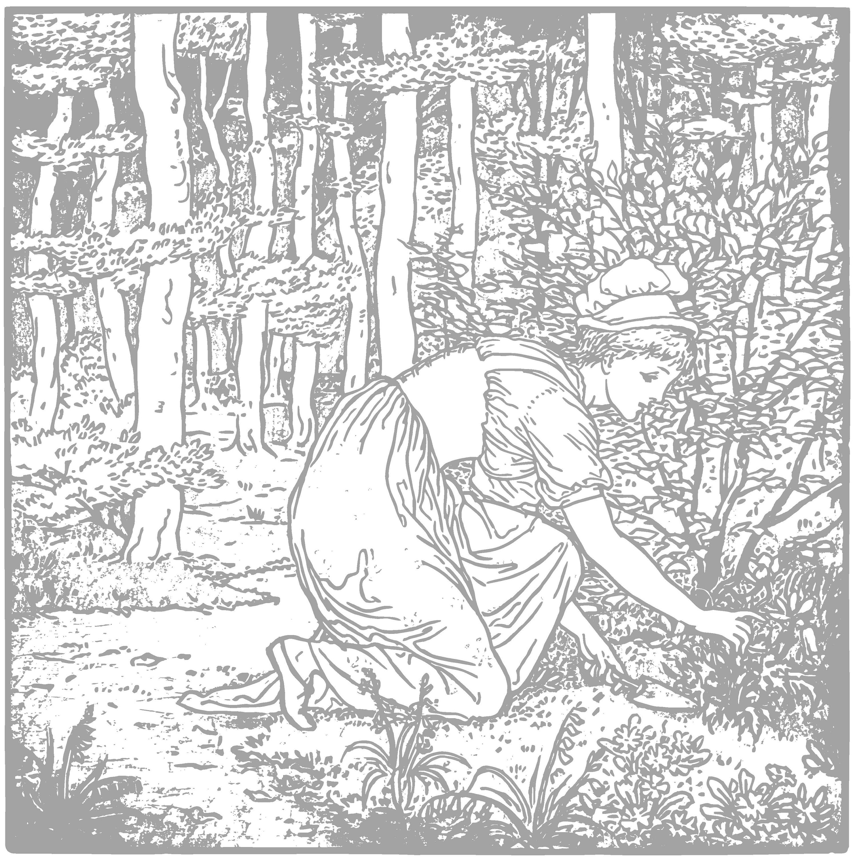 Classic Illustrations for Coloring Vintage Digital Download Hand Drawn ...