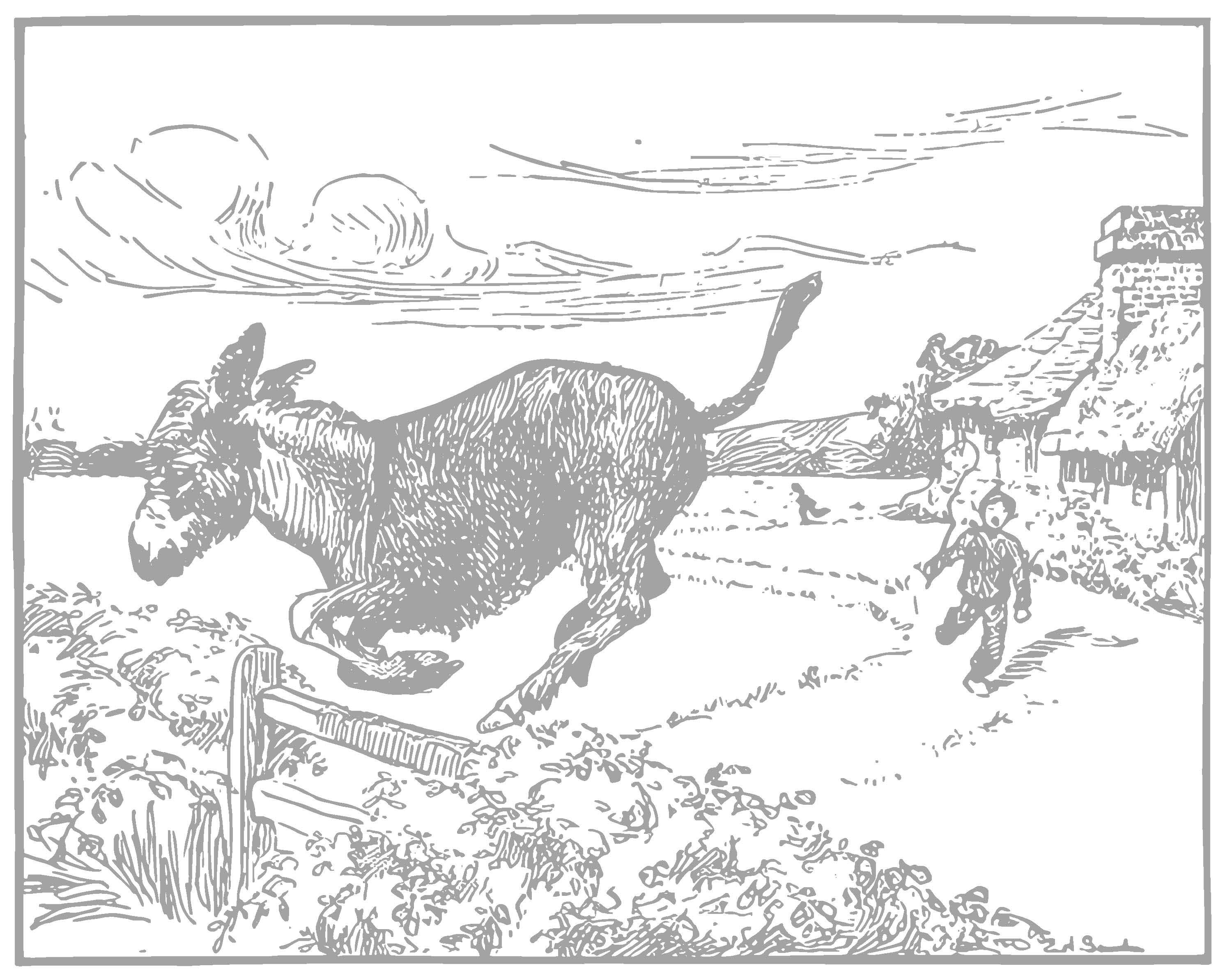 Donkeys for Coloring Vintage Digital Bundle Download Hand Drawn ...