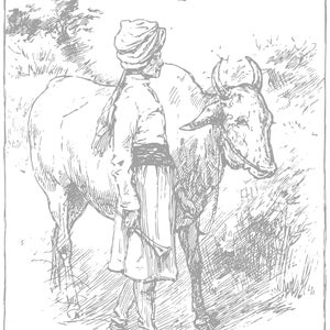 Moo Cow Farm for Coloring Vintage Digital Bundle Download Hand Drawn ...