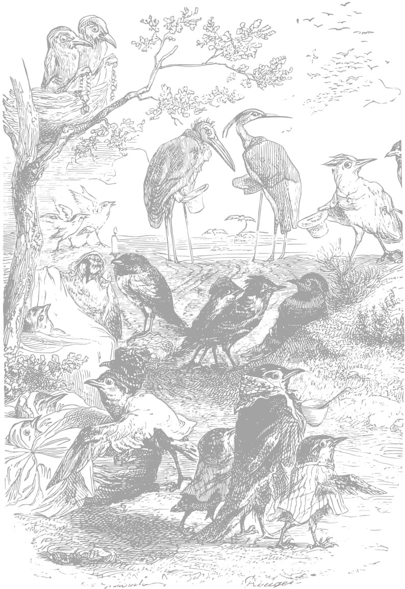 Anthropomorphic Animals 2 Digital Bundle Download Pictures Hand Drawn ...