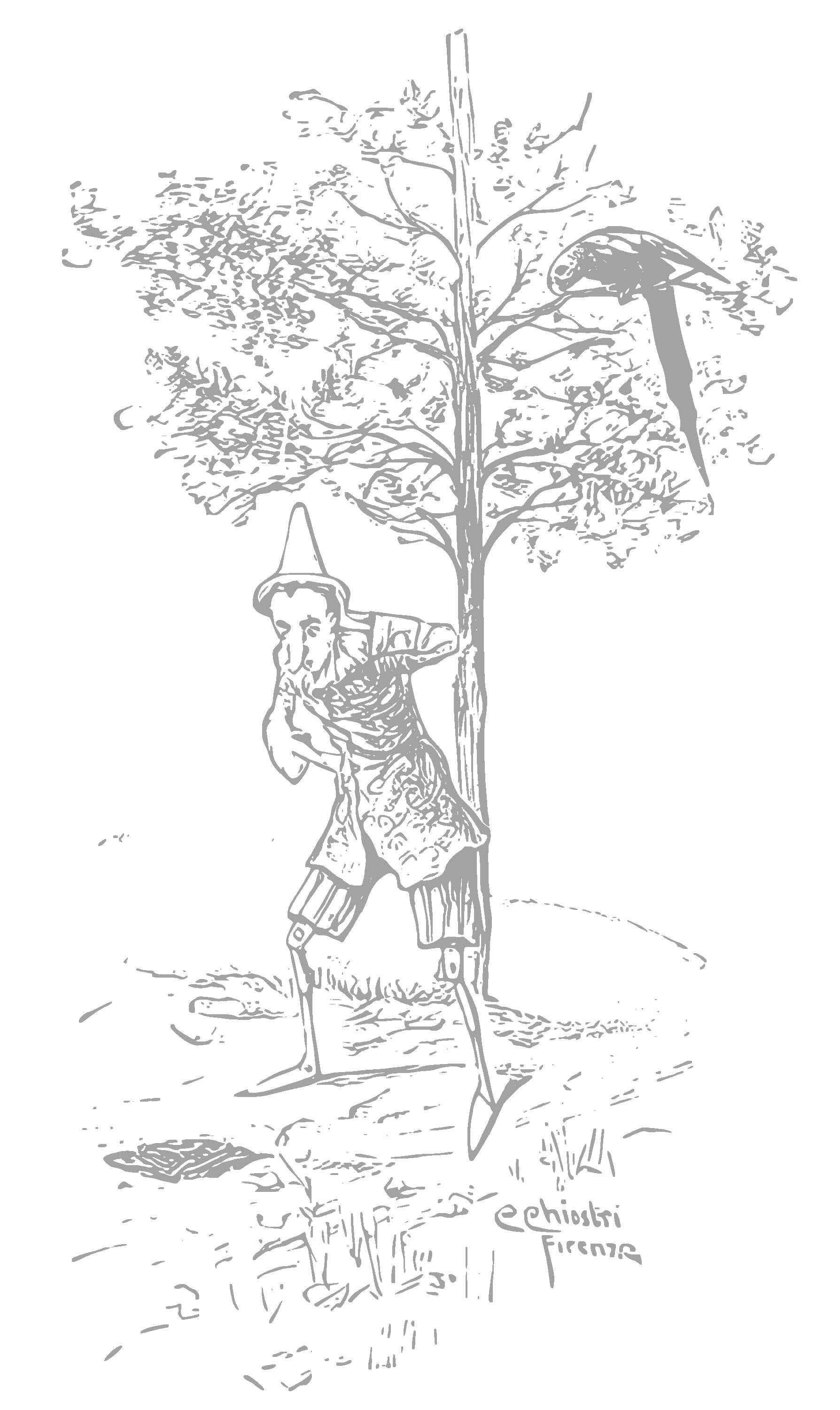 Pinocchio for Coloring Vintage Digital Bundle Download Hand Drawn ...