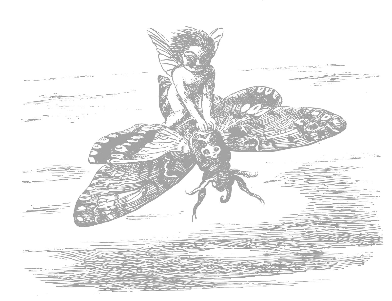 Bugs and Fairies for Coloring Vintage Digital Bundle Download Hand ...