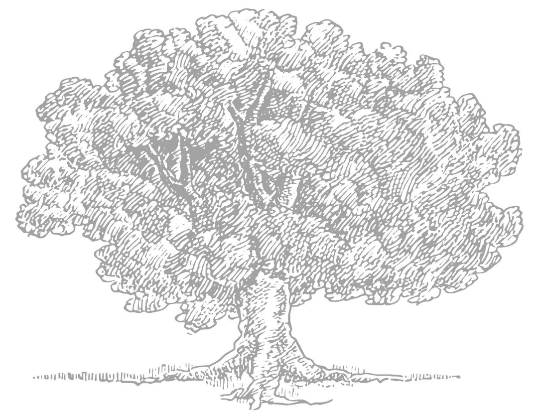 Bojabi Tree Coloring Book - Etsy