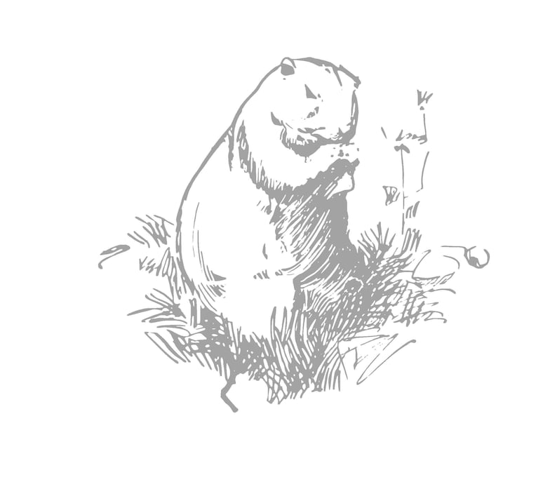 Gopher Life for Coloring Vintage Digital Bundle Download Hand Drawn ...