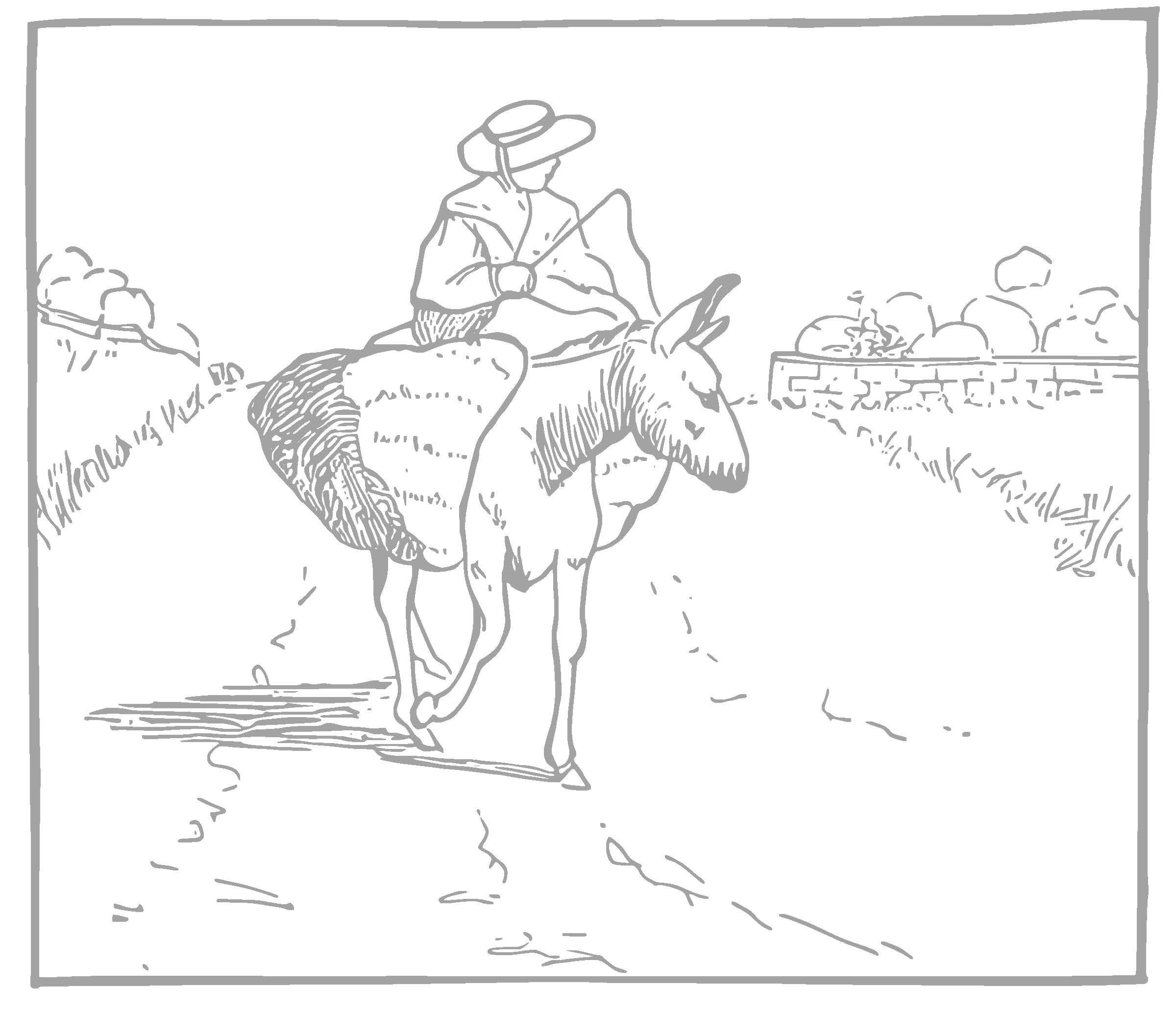 Donkeys for Coloring Vintage Digital Bundle Download Hand Drawn ...