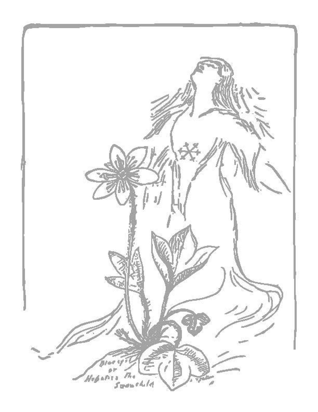 Nature and Spirit for Coloring Vintage Digital Bundle Download Hand ...