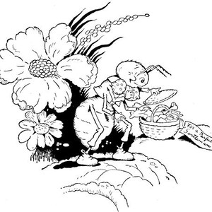 Ant Adventure for Coloring Vintage Digital Bundle Download Hand Drawn ...