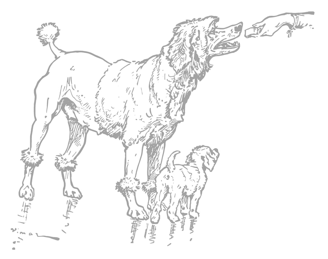 Circus Dogs for Coloring Vintage Digital Bundle Download Hand Drawn ...