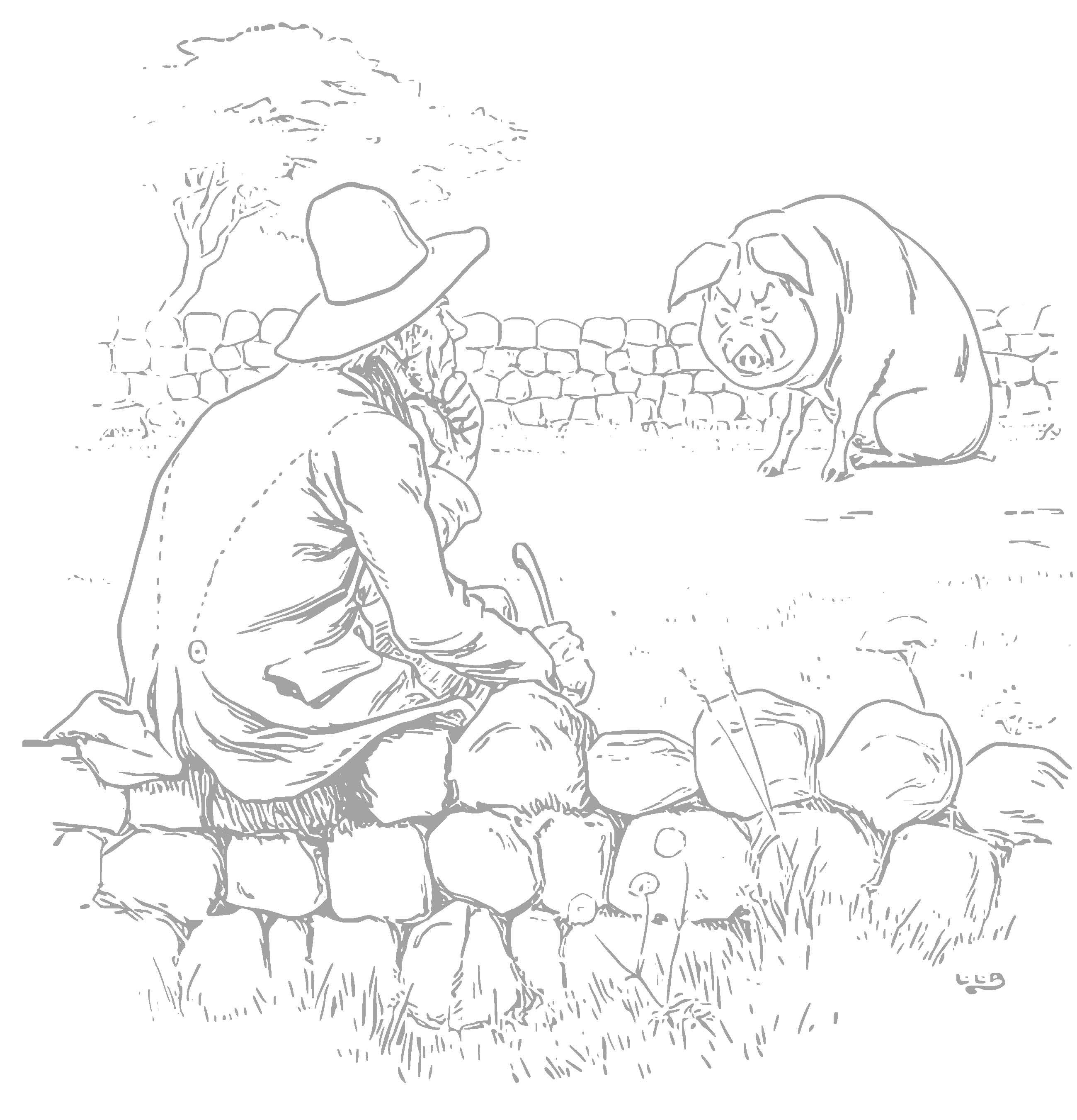 Classic Tales for Coloring Vintage Digital Bundle Download Hand Drawn ...