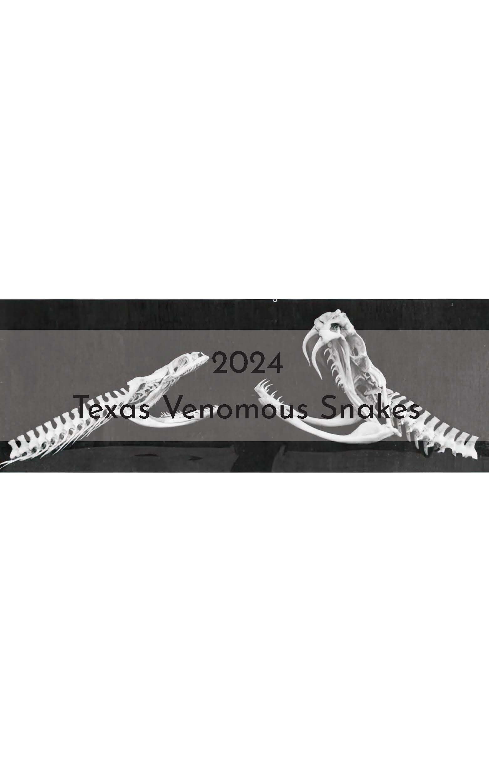 Texas Venomous Snakes 2024 Calendar - Etsy
