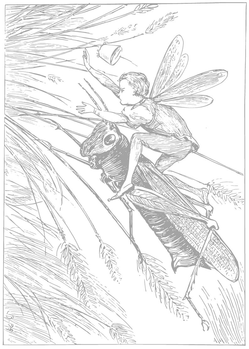 Elves and Fairies for Coloring Vintage Digital Bundle Download Hand ...