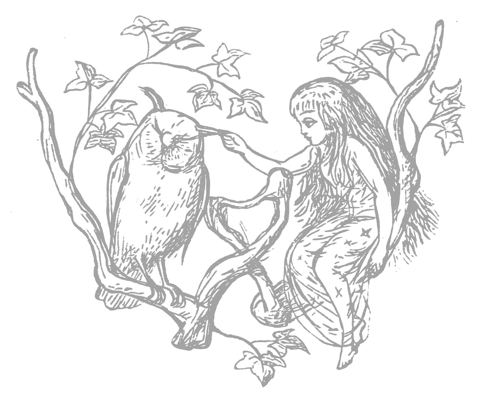 Bugs and Fairies for Coloring Vintage Digital Bundle Download Hand ...