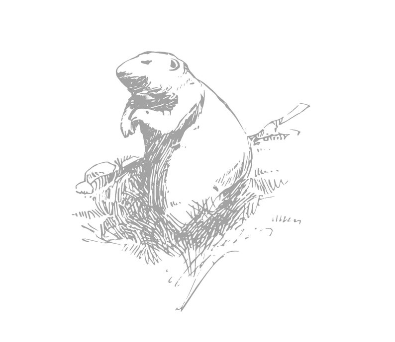 Gopher Life for Coloring Vintage Digital Bundle Download Hand Drawn ...