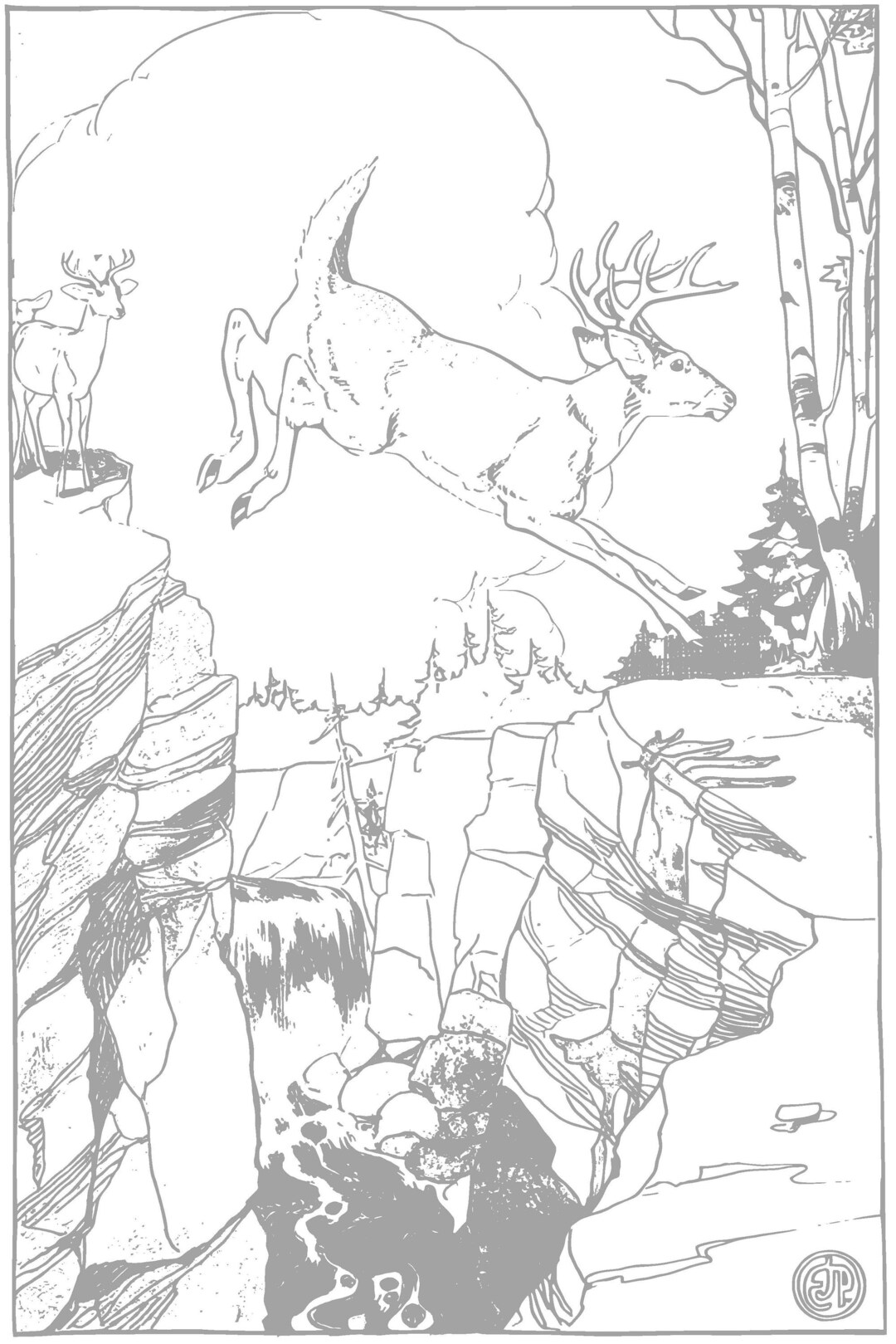 The Forest for Coloring Vintage Digital Bundle Download Hand Drawn ...